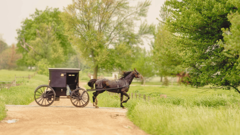 Memories of Amish Moving to Smicksburg - Visit Smicksburg
