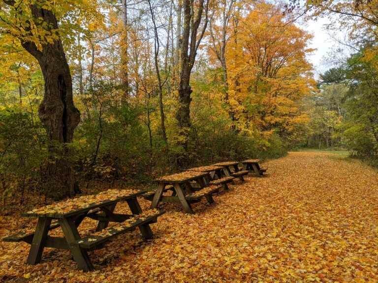 Old Smicksburg Park - Visit Smicksburg