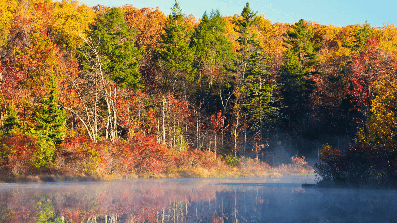Top 6 - Best Places to View Vibrant Fall Foliage of Pennsylvania ...