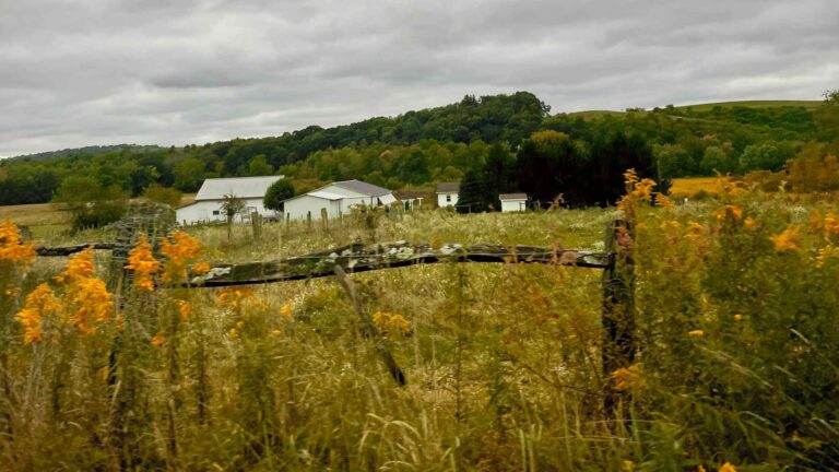 Why You Should Visit Smicksburg in the Fall - Visit Smicksburg
